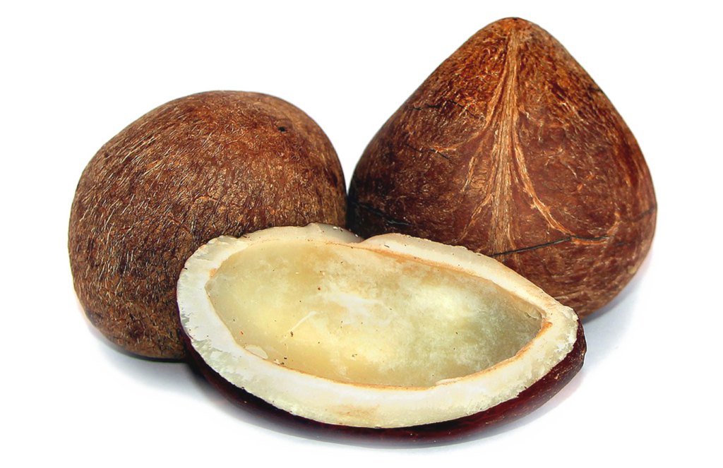 Our Product – WRCESTATES